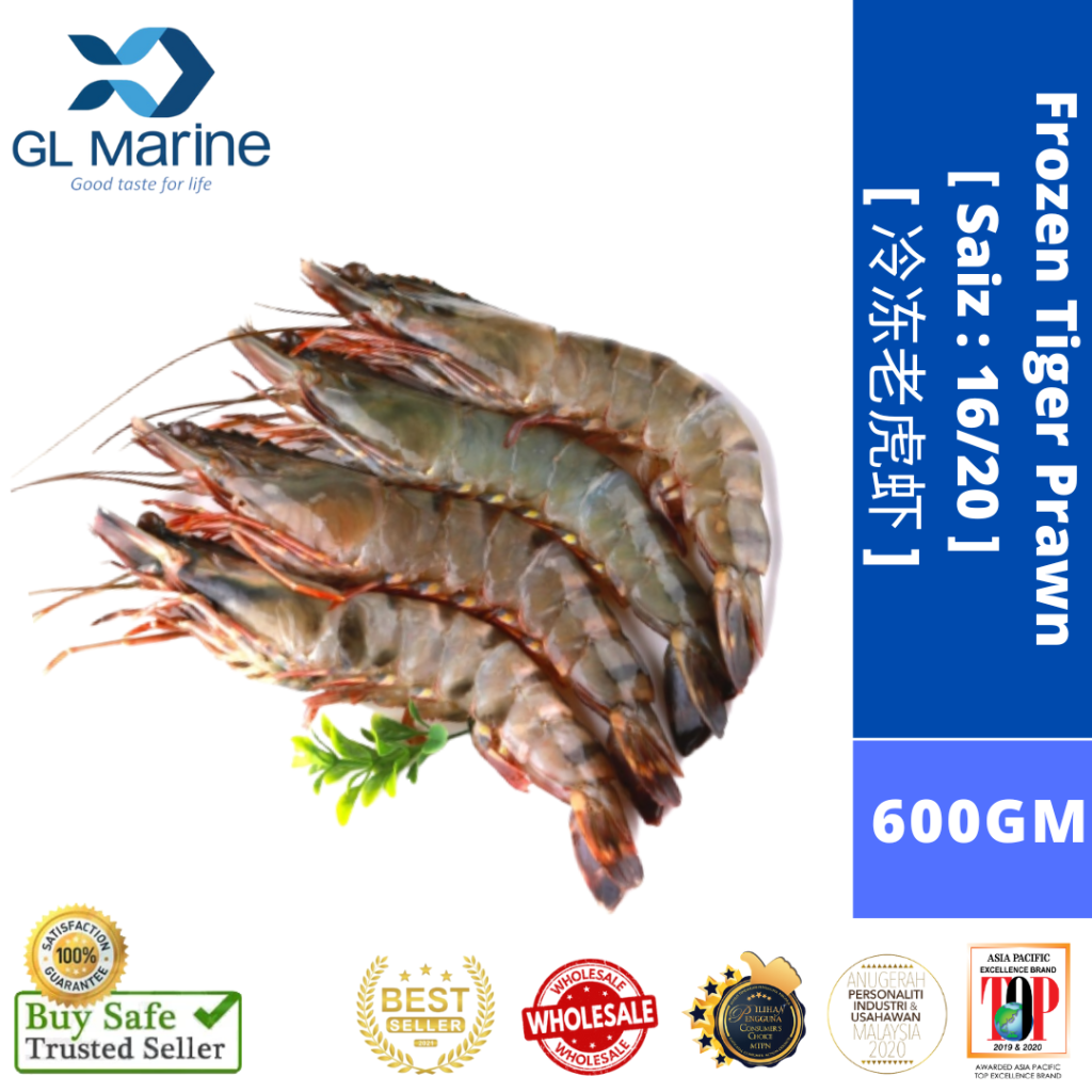 [KLANG VALLEY ONLY] BLACK TIGER PRAWN 16/20 - GL MARINE FROZEN SDN BHD